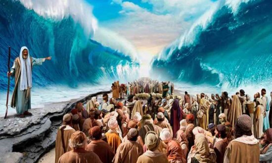 El Mar Rojo: Científicos aseguran saber cómo se dividió